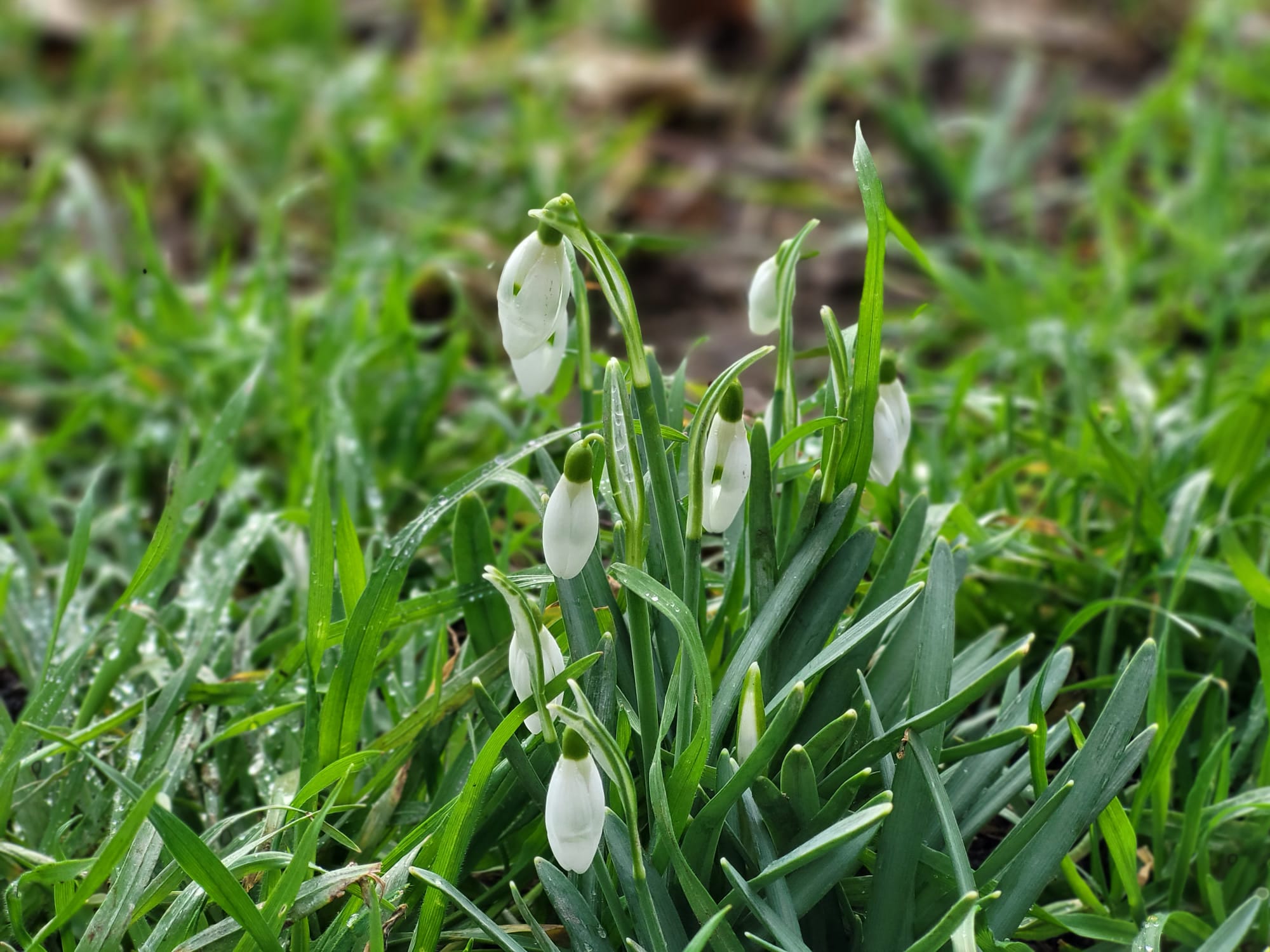 Nordic Walking - das Geheimnis einer starken Wirbelsäule ...